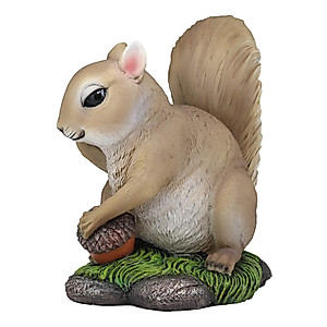 Ebros Gift Large Rude Squirrel Pointing Middle Finger with Acorn Nutty Welcome Guest Greeter Statue 10" Tall Whimsical Woodlands Funny Animal Squirrels Chipmunks Flipping Off Home Decor Figurine