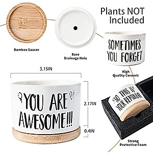 Birthday Gifts for Women, Friend Gifts for Women, Gifts for Her, Sister Gifts, Funny Gifts for Women Unique Gift Ideas for Mom Men Awesome Succulent Pots 3PCS