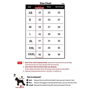 QWINEE Elegant Party Dog Dress Bow Decor Cat Dress Stretchy Dog Princess Dress Mesh Tutu Puppy Skirt Wedding Christmas New Year Dresses Outfits for Small Medium Large Dogs Cats Kitten Black M