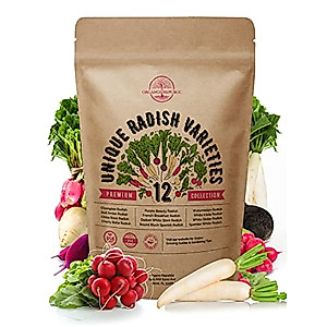 12 Radish Seeds Variety Pack for Planting Indoor & Outdoors 2400+ Heirloom Non-GMO Bulk Radish Garden Seeds: Daikon, Cherry Belle, French, Breakfast, Champion, Purple, Watermelon Radishes Seeds & More