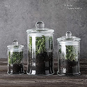 Premium Glass Apothecary Jars with Lids | Set of 3 | Small Glass Jars for Kitchen or Bathroom Storage / Qtip Holder / Cotton Swab Holder | Glass Jar with Lid for Laundry Room Storage, Bathroom Canisters, Mason Jar Bathroom Accessories Set | Bathroom Jars