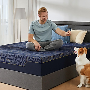 Rolanstar Twin Mattress 8 inch, Memory Foam Mattress for Pressure Relief, Cooling Gel Mattress in a Box, Bamboo-Charcoal Foam Mattress, Firm, Fiberglass Free, CertiPUR-US Certified