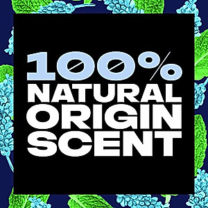 AXE Body Wash For Men Alpine Lift, Skin Care with 100% Natural origin scent and Plant Based Ingredients 18 oz, 4 Count