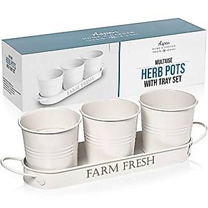 Herb Pots with Tray Set, Indoor Herb Planter, Farmhouse Inspired Decorative Herb Garden Planter with Drain Holes for Healthy Plants, Ideal for Indoor Windowsill