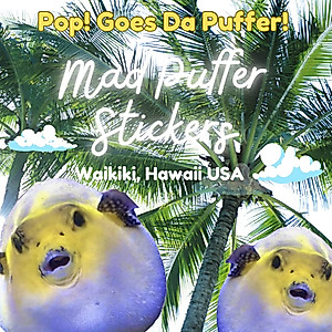 Tesla Bumper Sticker - I Bought This Before We Knew Elon was Crazy! Original Viral Sticker Tesla Owner Regret Decal Accessories Elon Musk - Funny Bumper Sticker Elon Regret! Model X Y 3 S Vinyl