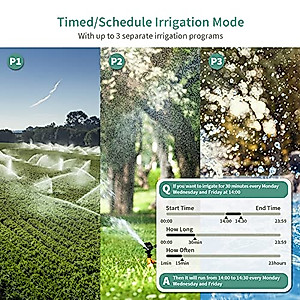 Water Sprinkler Timer, Diivoo Programmable Irrigation Hose Timer with 3 Individual Watering Programs and Rain Delay for Garden Lawn, Pool Filling