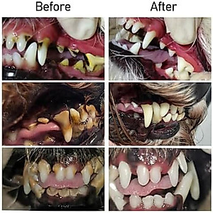 JITEM Pet Oral Care Gel, Pet Teeth Cleaning Pen, Pet Teeth Oral Care Gel for Eliminate Bad Breath, Reduces Plaque & Tartar Buildup Without Brushing (1pc)