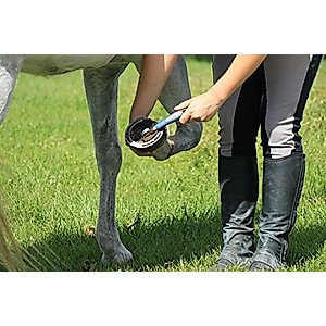 Oster Equine Care Horse Hoof Pick, Blue