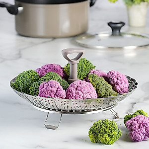 Martha Stewart Richburn, Steamer Insert (10.6"), Stainless Steel