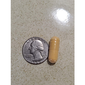 Flambeau Labs PQQ+CoQ10 | 30 Capsules, 200mg CoQ10, 20mg PQQ | Promotes Metabolic Efficiency, Mitochondrial Biogenesis, and Cognitive Health