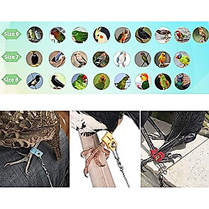 SUPERFINDINGS 12pcs 0.15-0.17x0.04Inch Mixed Color Faux Suede Leather Birds Foot Rings Parrot Leg Bands Opening Feet Ring for Pigeon Dove Chicks Bantam Quail Lovebirds Finch