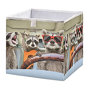 Funny Raccoon Guitar Storage Baskets for Shelves Foldable Collapsible Storage Box Bins with Fabric Bins Cube Toys Organizers for Pantry Organizing Shelf Nursery Home Closet,11 x 11inch
