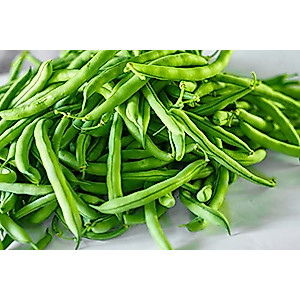 "Kentucky Blue" Pole Bean Seeds for Planting, 30+ Heirloom Seeds Per Packet, Non GMO Seeds, (Isla's Garden Seeds), Botanical Name: Phaseolus vulgaris, Great Home Garden Gift