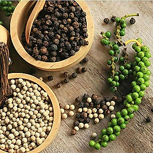 30+ Piper Nigrum Black Pepper Seeds Fragrant Herbs Spice Garden Plants Bonsai