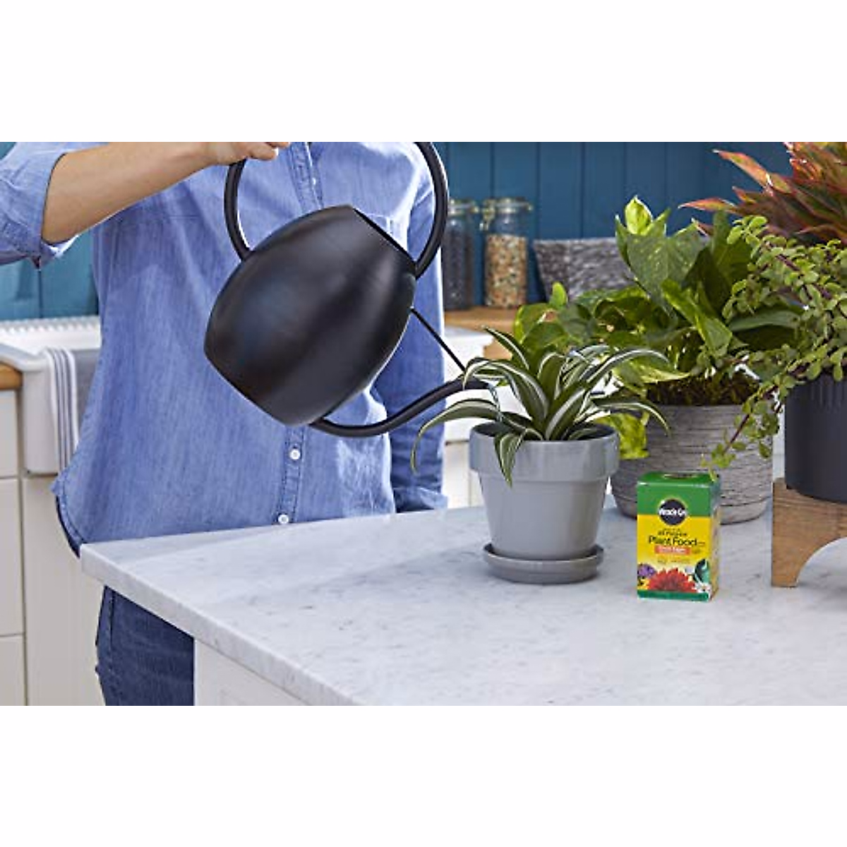 Miracle-Gro Water Soluble All Purpose Plant Food, Plant Fertilizer, 8 oz. (12-Pack)