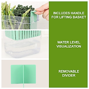 2 Pack Fresh Herb Keeper for Refrigerator, Clear BPA-Free Herb Saver, Storage Container for Cilantro, Parsley, Thyme, Mint & Asparagus, Preserver Keeps Fresh Herbs for 3 Times Longer, Green & Blue