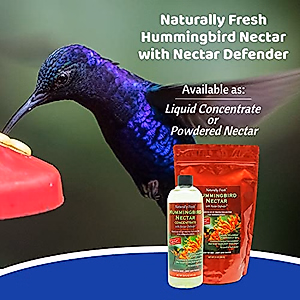 Sapphire Labs Naturally Fresh Hummingbird Nectar with Nectar Defender Lasts Longer in Hummingbird Feeders | Makes 96 oz of Clear Hummingbird Nectar | an Easy Mix Hummingbird Nectar Powder