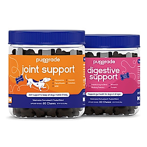 PupGrade 2-Pack Joint Support & Digestive Support Chews for Dogs - Soft Chews for Hip and Joint Pain Relief - Supplement with Probiotics, Prebiotics, Enzymes - 120 Chews Total