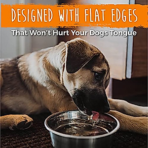 Mighty Paw Stainless Steel Dog Bowls (2 Pack) | Non-Slip Rubber Bottom and No Spill Design. Dishwasher Safe Metal Food & Water Dish Set for Small & Large Pet Breeds. (Small, Dogs <30 lbs, 5.5”)