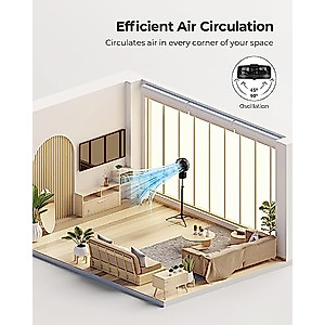 Airbition 10" Portable Pedestal Fan, 10000mAh Rechargeable Table Fan with 7 Speeds, Oscillating Standing Fan with Timer for Bedroom, Office, Camping