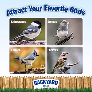 CountryMax Sunflower Chips Medium Sized Shelled No Waste Bird Seed (5 Pounds)