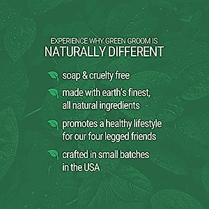 Green Groom Odor Eliminator Dog Shampoo, 16 oz - Crafted with Odortrol, All Natural Ingredients, Antioxidant Rich, Eliminates Smelly Pet Odors, Powerful Deodorizing Formula, Professional Grade