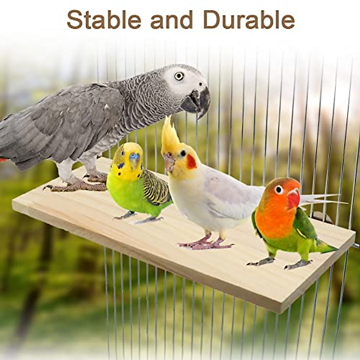 Parrot Bird Wood Perch Platform Large Stand Shelf for Birds Budgie Parakeet Cockatiel Conure Cockatoo Macaw African Grey