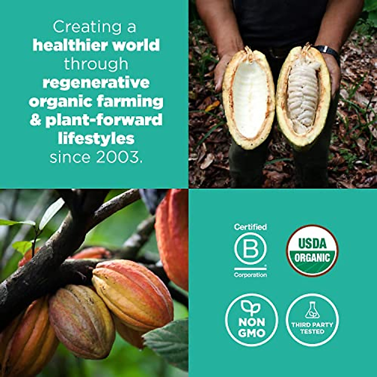 Navitas Organics Cacao Sweet Nibs, 4oz. Bag, 28 Servings — Organic, Non-GMO, Gluten-Free