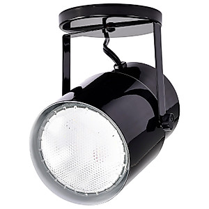 Satco SF77/394 Incandescent Portable Plant Lamp, 60 Watts, Black