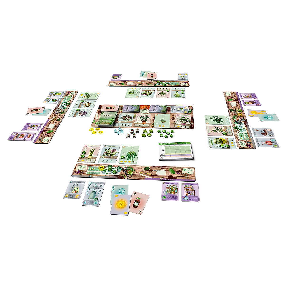 Planted Game by Phil Walker-Harding - Buffalo Games - Collect and nurture your houseplants.- Adult game night - Deck building game