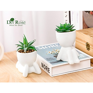 Der Rose Set of 2 Fake Plants Artificial Succulent Plants for Office Desk Accessories Bathroom Home Room Aesthetic Decor Indoor