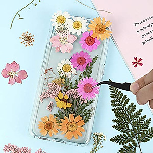 Nuanchu Pressed Flowers Resin Flowers for Resin Mold, Real Daisy Dried Flower Leaves Natural with Tweezers for Scrapbooking DIY Candle Accessories Jewelry Crafts Making (Fresh Style)
