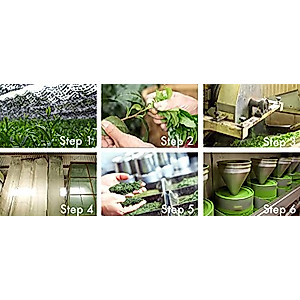 eco heed Organic Japanese Matcha Green Tea Powder - Premium Superior Culinary Grade - Stone Ground No Additives - (3.5oz)