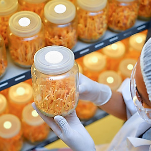 Synthetic Filter Paper Sticker 90 mm 0.3 μm PTFE Filter Disc Strong Adhesive Patch for Buchner Funnel Mushroom Cultivation (12pcs)