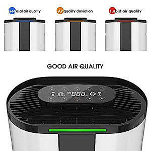 Air Purifier with Smart WiFi, PM2.5 Monitor and H13 True HEPA Filter for Large Room up to 3000 sq.ft, Captures 99.9%