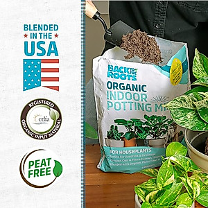 Back to the Roots 100% Organic Indoor Potting Mix (6 Quart), Promotes Healthy Houseplant Growth, Made in The USA