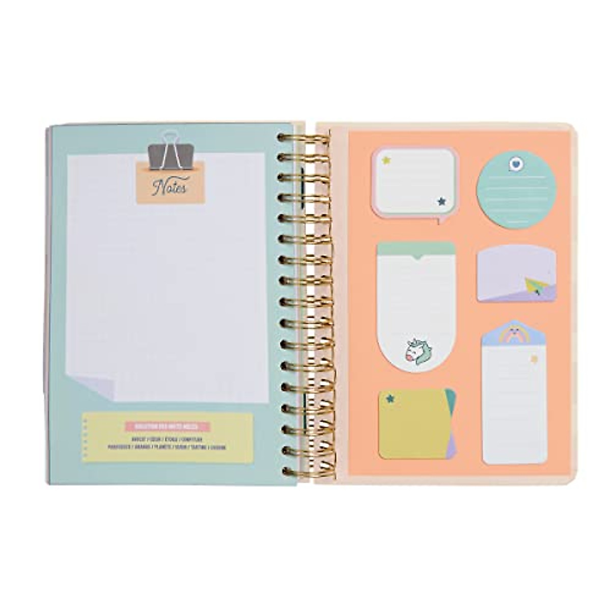 Mr.Wonderful Wonder 2023-2024 Daily Diary Pink - Every Day Will Be My Day