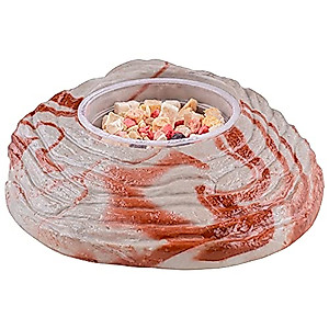 Healthy Herp Instant Meal Juvenile Dragon Food Variety Pack (7 x Juvenile Dragon Food, 4 x Fruit Mix, 3 x Vegi Mix, and 1 X Feeding Dish)