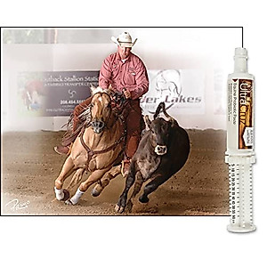 UltraCruz Equine Probiotic Supplement for Horses, 60 ml, Paste (4 Day Supply)