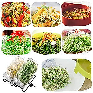 Lulonpon 2 Sprouting Jar Kit, Wide Mouth Quart Mason Jars with Stainless Steel Screen Sprout Lids, 86mm,1000ml,Stand,Tray and Canning Brush,Seed Sprouter Set for Growing Broccoli, Alfalfa (2)