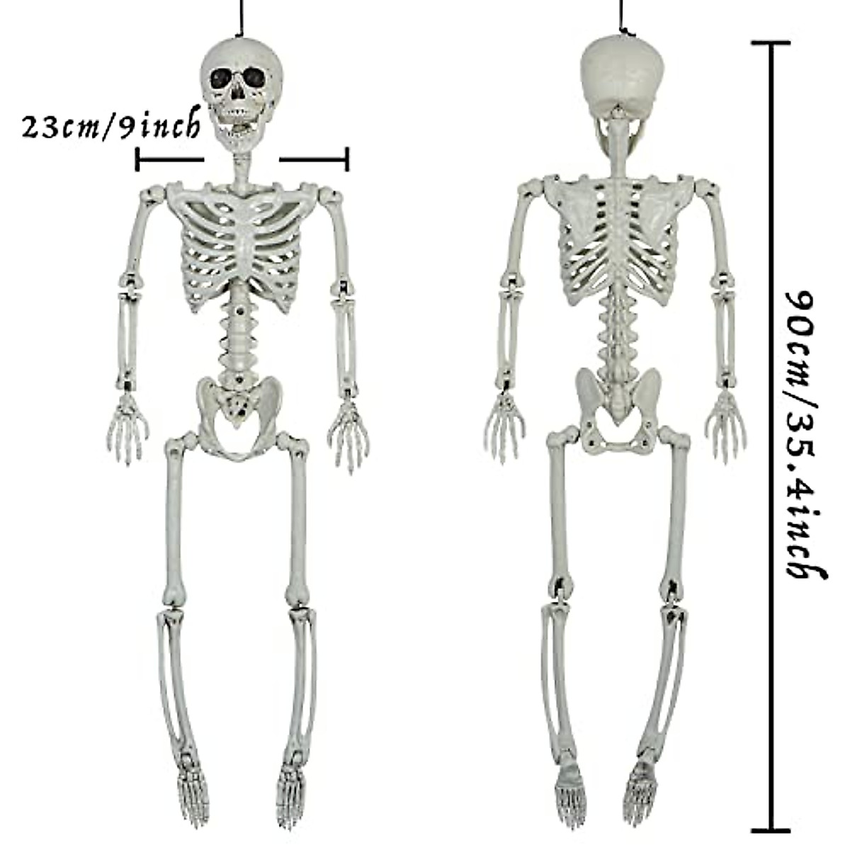 XONOR 3ft Halloween Skeleton Realistic Human Plastic Full Body Skeleton with Movable Joints for Haunted House Props Decorations