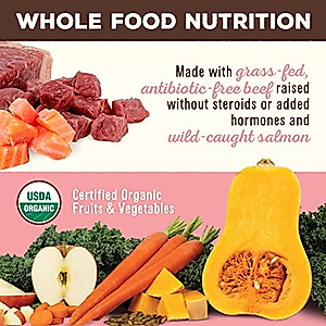Primal Freeze Dried Cat Food Nuggets Beef & Salmon, Complete & Balanced Scoop & Serve Healthy Grain Free Raw Cat Food, Crafted in The USA (14 oz)