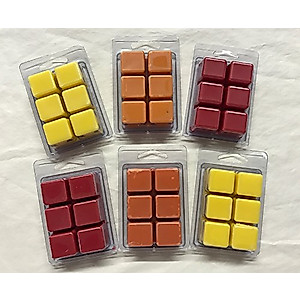 6 Pack Soy Blend Wickless Candle Wax Bar Tart Melts - Fruity Pack - Includes one 6 Cube Package of Each of Fruity Loops, Lemon Pucker, Mango Papaya, Pomegranate, Pineapple, and Apple Orchard