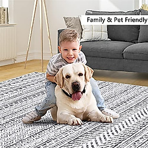 RUGSREAL Machine Washable Area Rug Boho Rug for Living Room Low Pile Non-Slip Rug Stain Resistant Area Rug for Bedroom Home Office, 8' x 10'