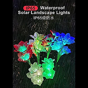 Solar Garden Flower Stake Light for Patio Lawn Pathway Outdoor, Lily Stake Lights, Spring Summer Outside Fairies Garden Accessories Decoration, Waterproof (Red)