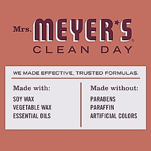 Mrs. Meyer’s Clean Day Scented Soy Candle, Large, Fall Leaves Scent, 7.2 oz