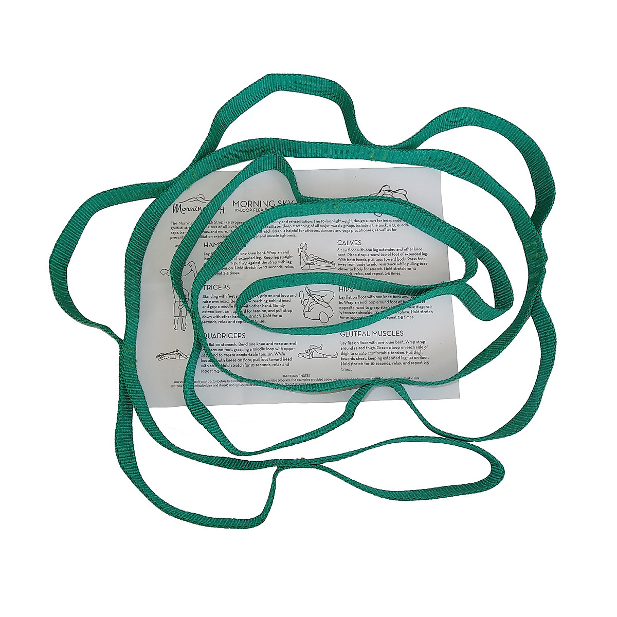 Physical Therapy Stretch Strap by Morning Sky - 10-Loop 73-inch Rehab Strap with Instructional Guide for Rehab, Stretching, Yoga.