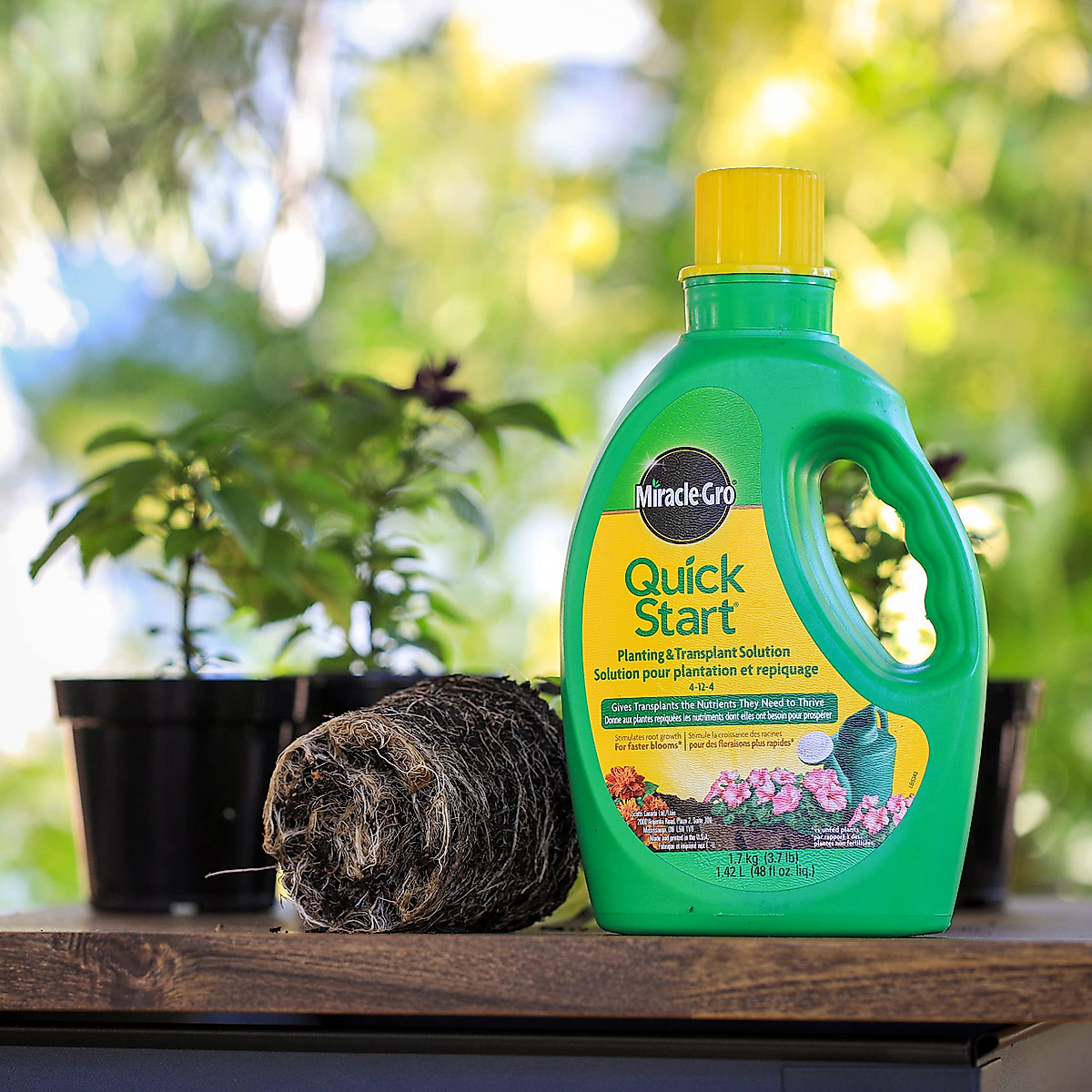 Quick Start - Planting and Transplant Solution 4-12-4, 1.42 L