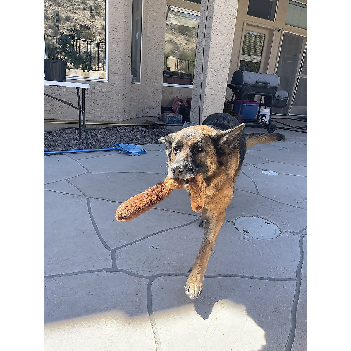 Jalousie 5 Pack Stuffingless Dog Squeaky Toys Dog Toy w/Durable Liner No Stuffing Dog Toy - Dog Toys Crinkle Paper Squeaker Toy for Medium Large Dogs (5 Pack - Color 4 - Squeaky)