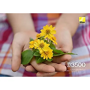 Nikon D3500 24.2MP DX-Format DSLR Digital Camera with AF-P DX NIKKOR 18-55mm VR Lens Kit - (Japan Import)